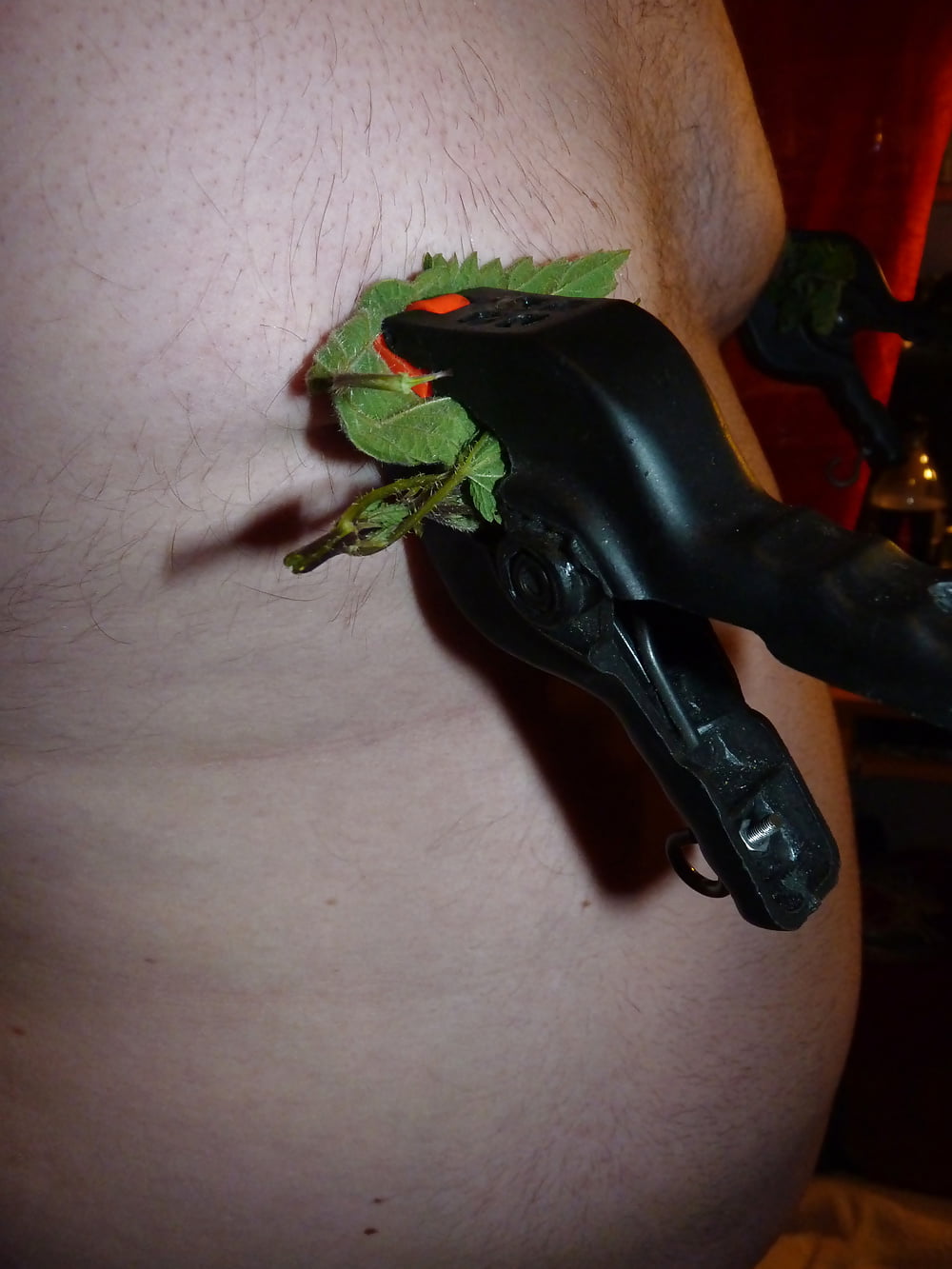 Cbt With Nettle 20 Pics Xhamster